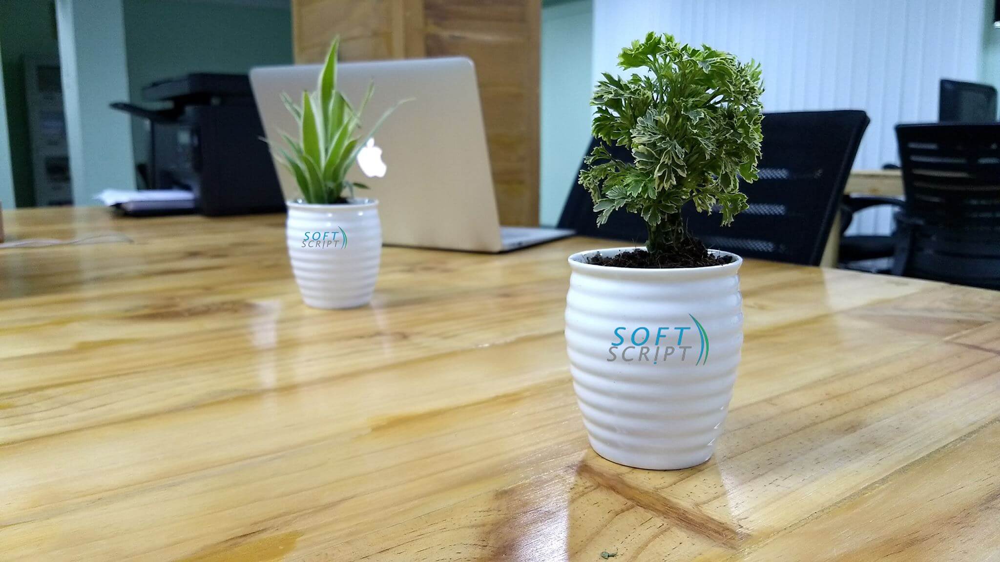 Blog - Softscript Solutions Blog